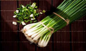 How to Grow and Harvest Bunching Onions – Green Garden Tribe