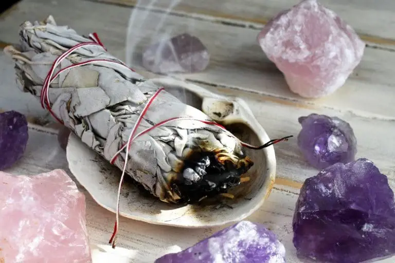 Homemade Sage Bundle with Easy To Follow Steps for Beginners – Green ...