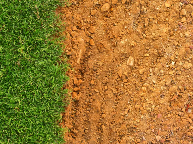 How to Improve Clay Soil for Lawns (Six Effective Ways) – Green Garden ...