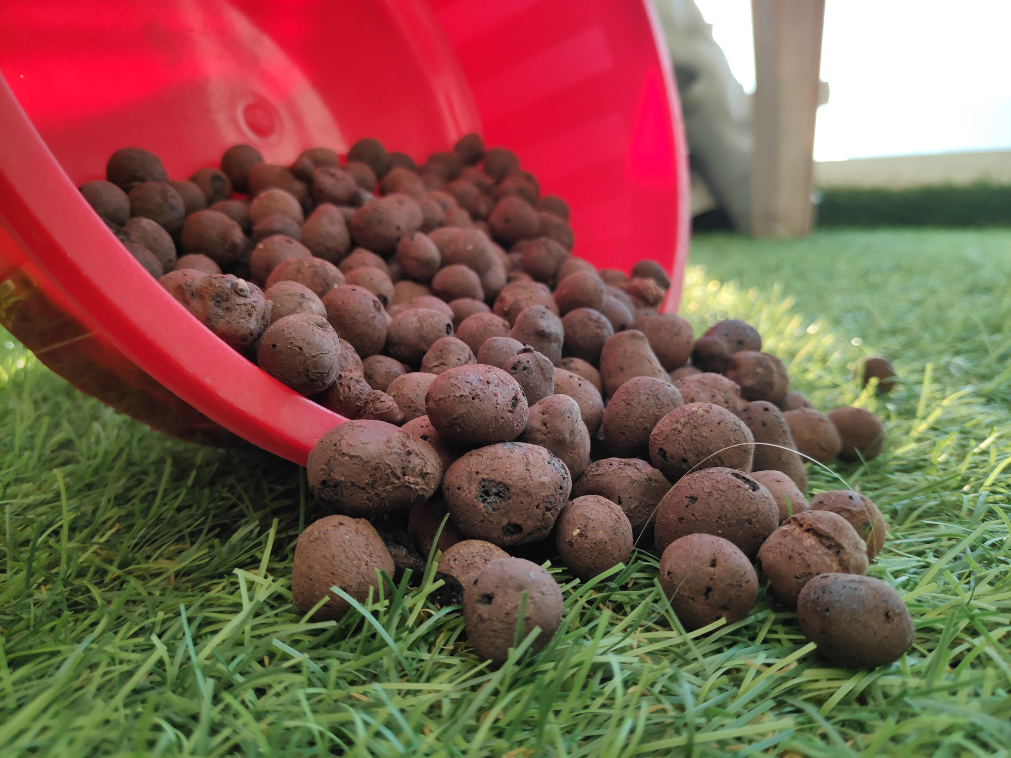 What is the Difference Between Hydroton and LECA? – Green Garden Tribe